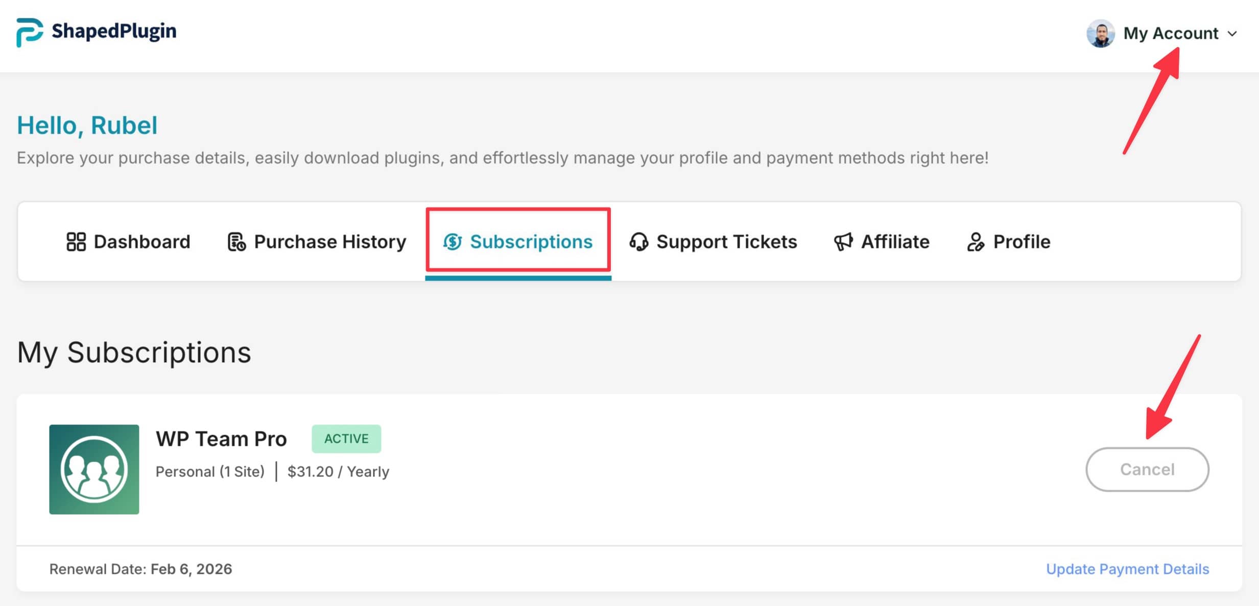 Cancel & Reactivate Subscription - WP Team